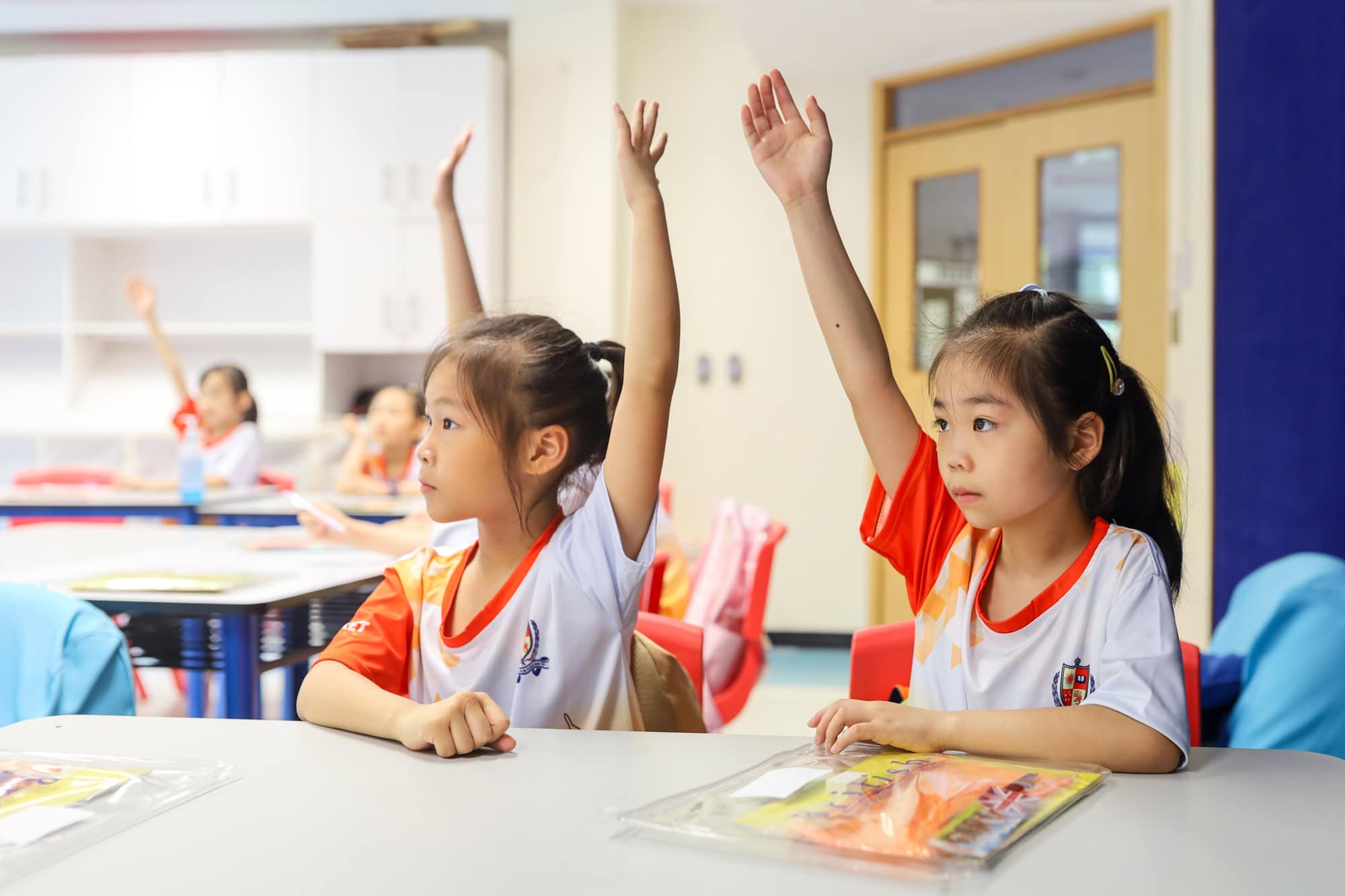 English | Summer@BISP