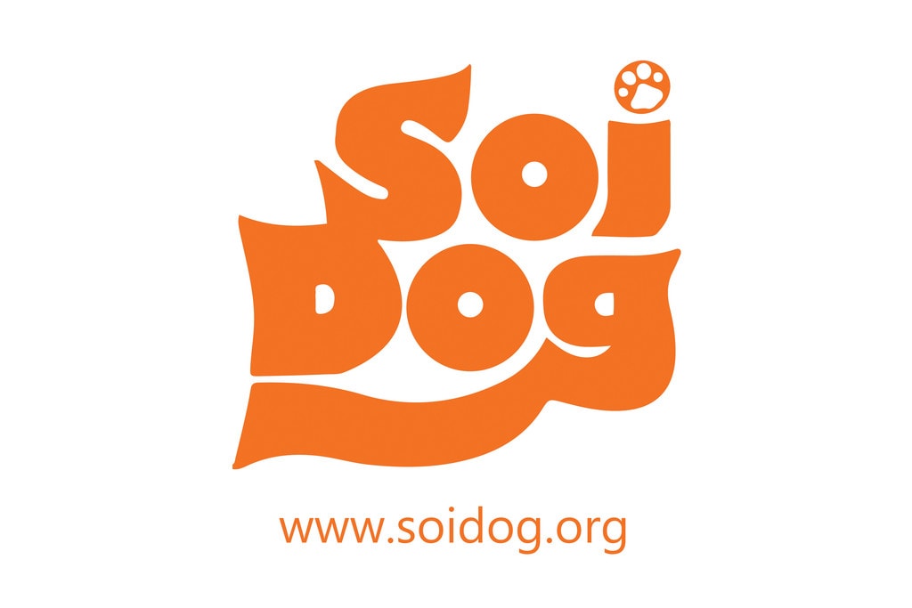 Soi Dog Foundation needs your help | British International School Phuket