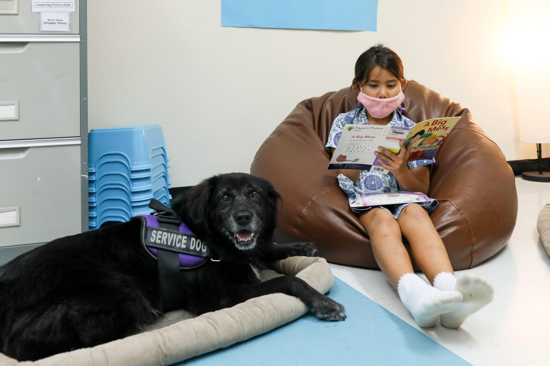 Meet our team of Tail Wagging Tutors | British International School Phuket