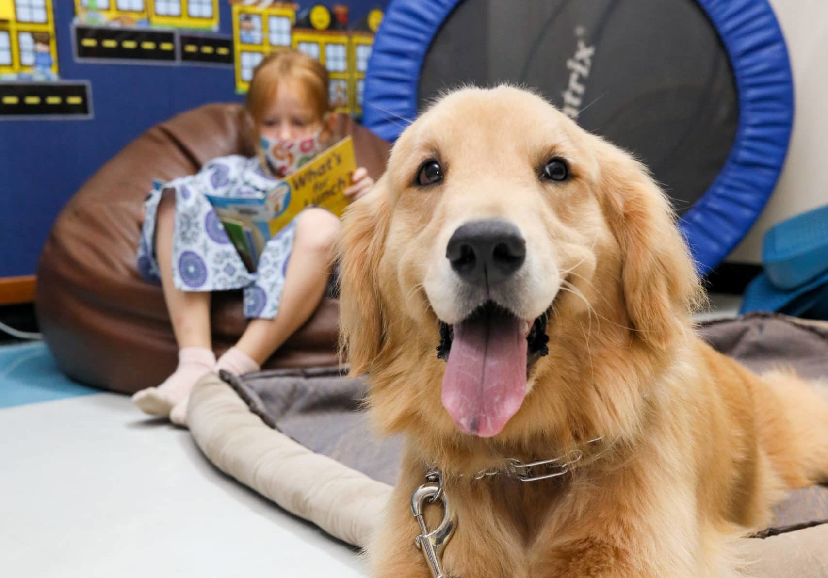 Meet our team of Tail Wagging Tutors | British International School Phuket