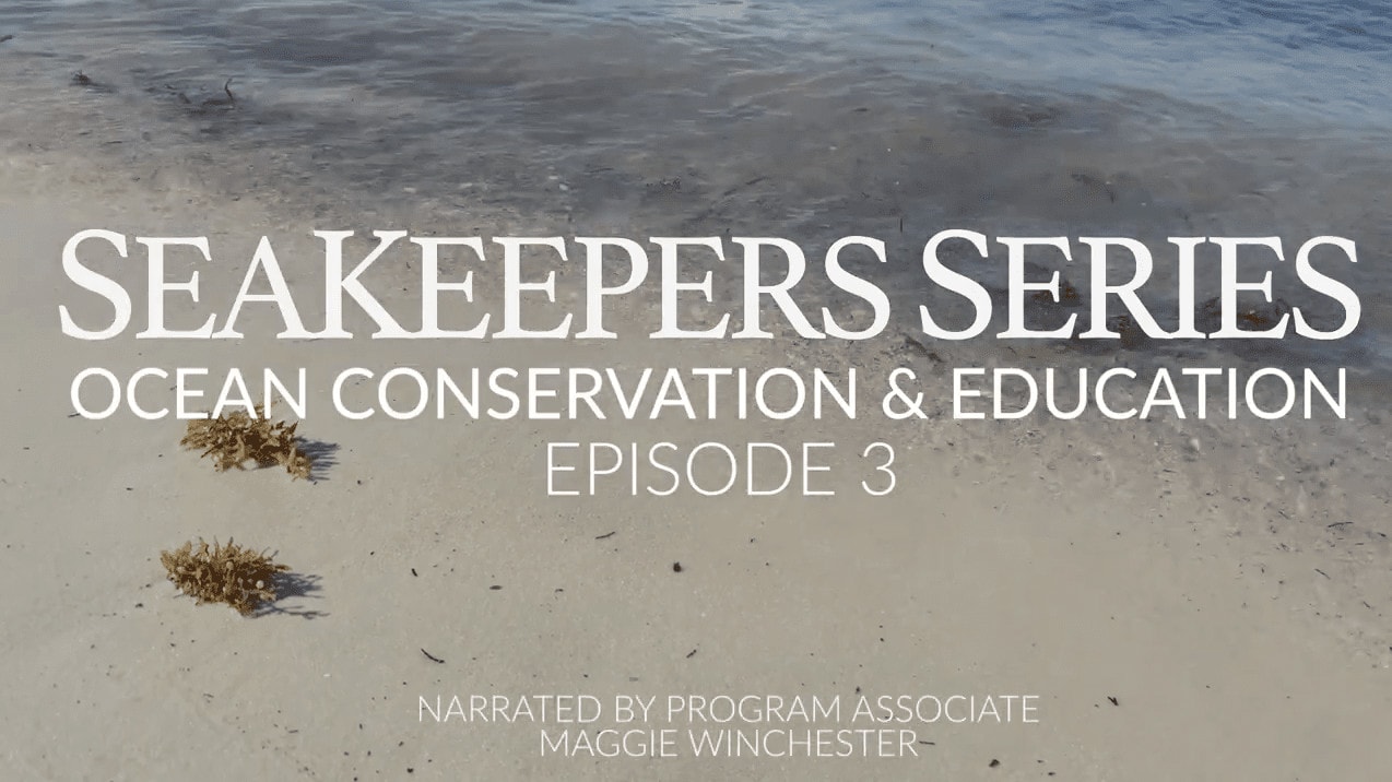 Seakeepers Launches Episode 3 Ocean Conservation Education British