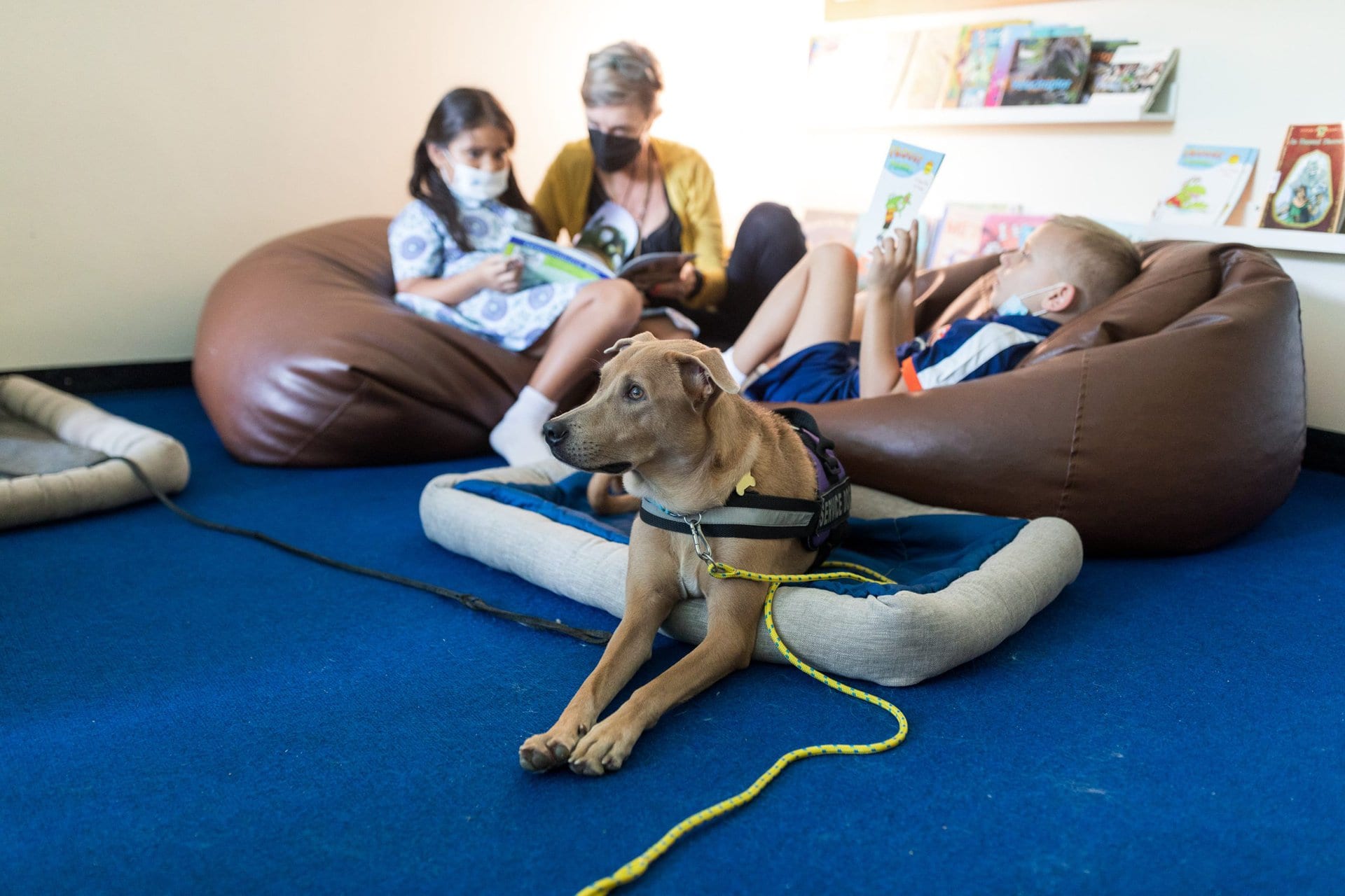 BISP Tail Wagging Tutors Programme | British International School Phuket