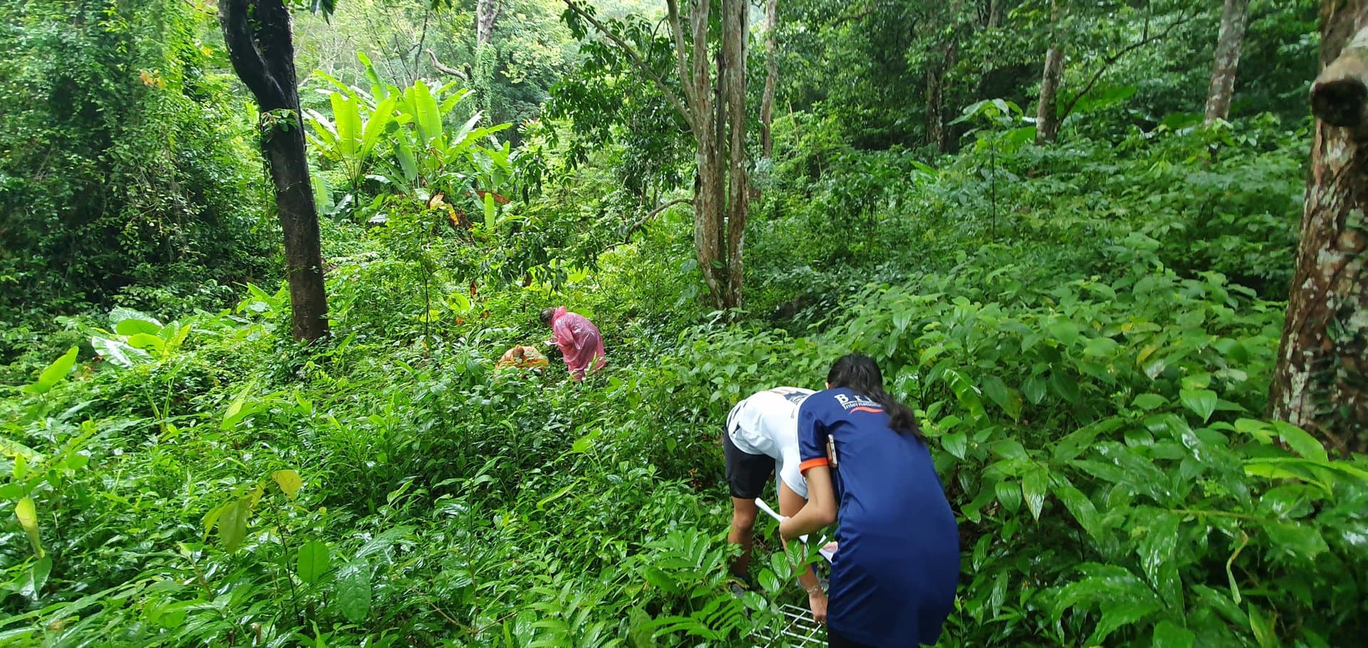 IB Environmental System Students Explore the Rich Biodiversity of ...