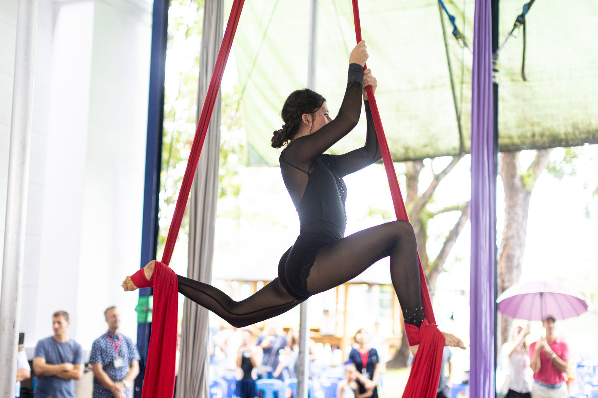 Looking Back on BISP’s Aerial Arts, Flying Trapeze & Gymnastics Academy ...