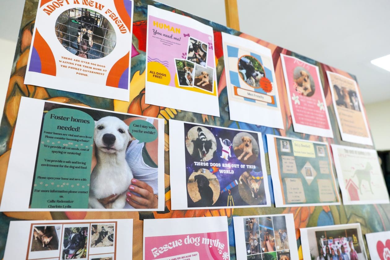 BISP Hosts Animal Welfare Day in Support of Furry Friends | British ...