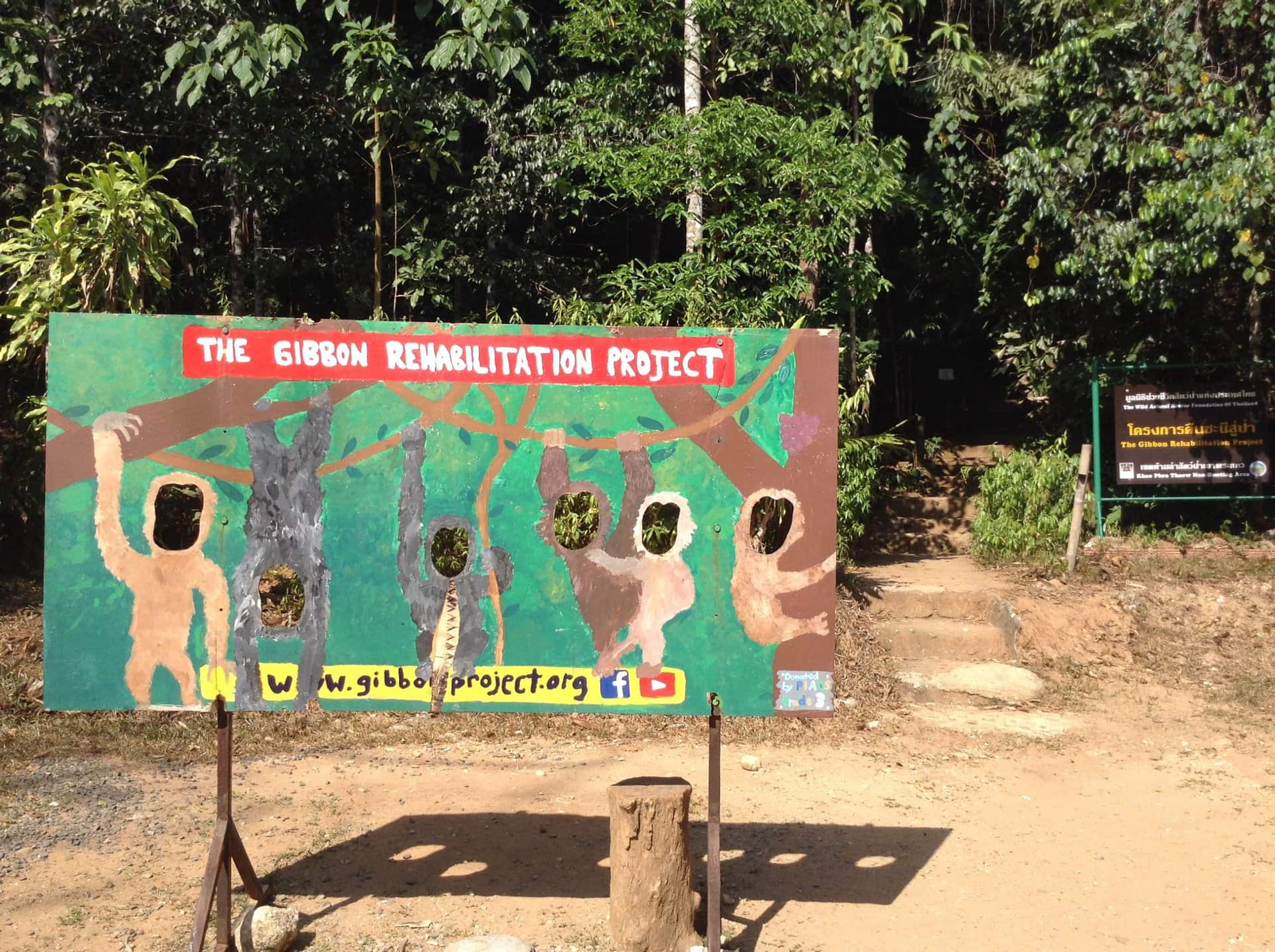 ESS Students Visit Gibbon Rehabilitation Project | British ...