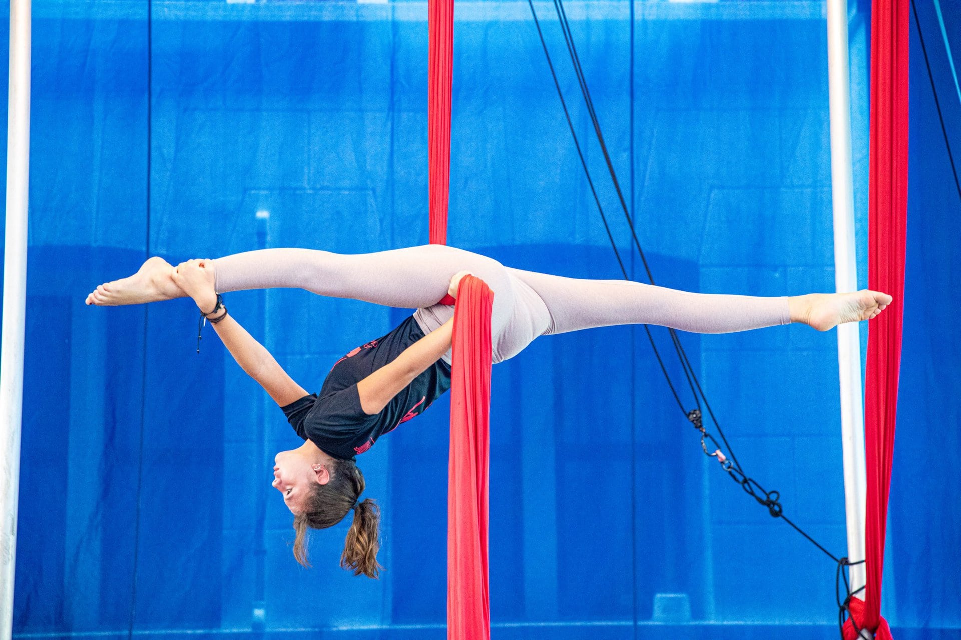 Mid Air Circus Arts Flying Trapeze and Aerial Arts Academy: Looking ...