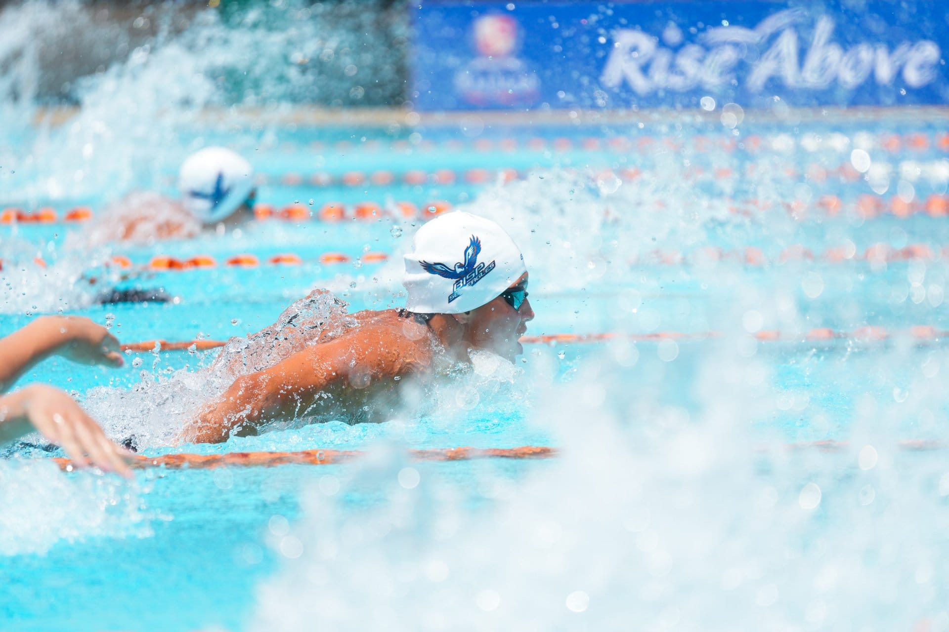A Spectacular Showcase of Talent at the 2024 BISP Sea Eagles Swim ...