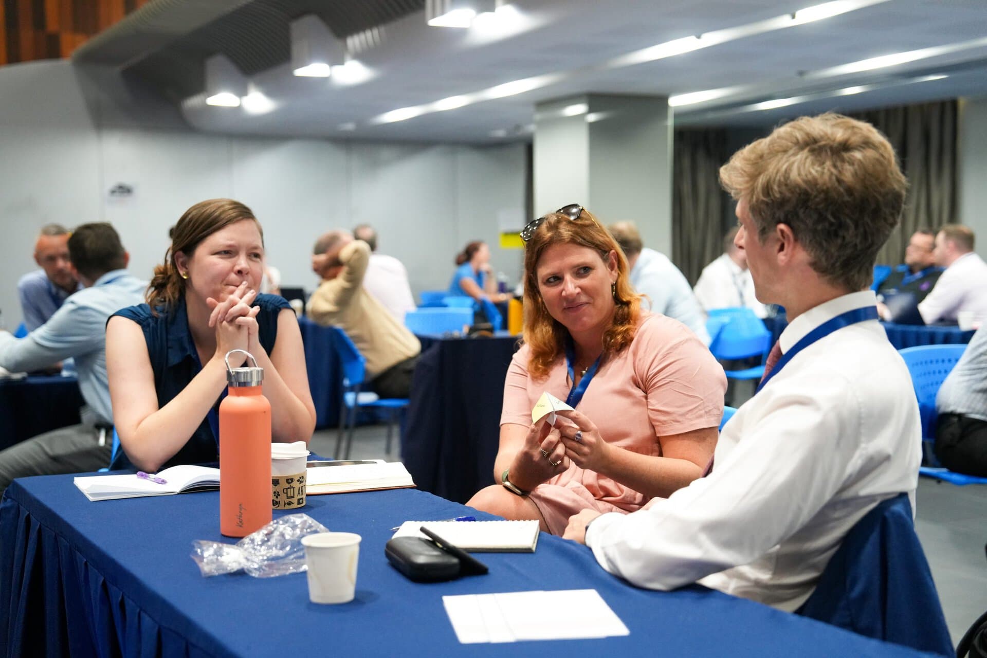 BIPS Proudly Hosts FOBISIA CPD Leaders Conference | British ...