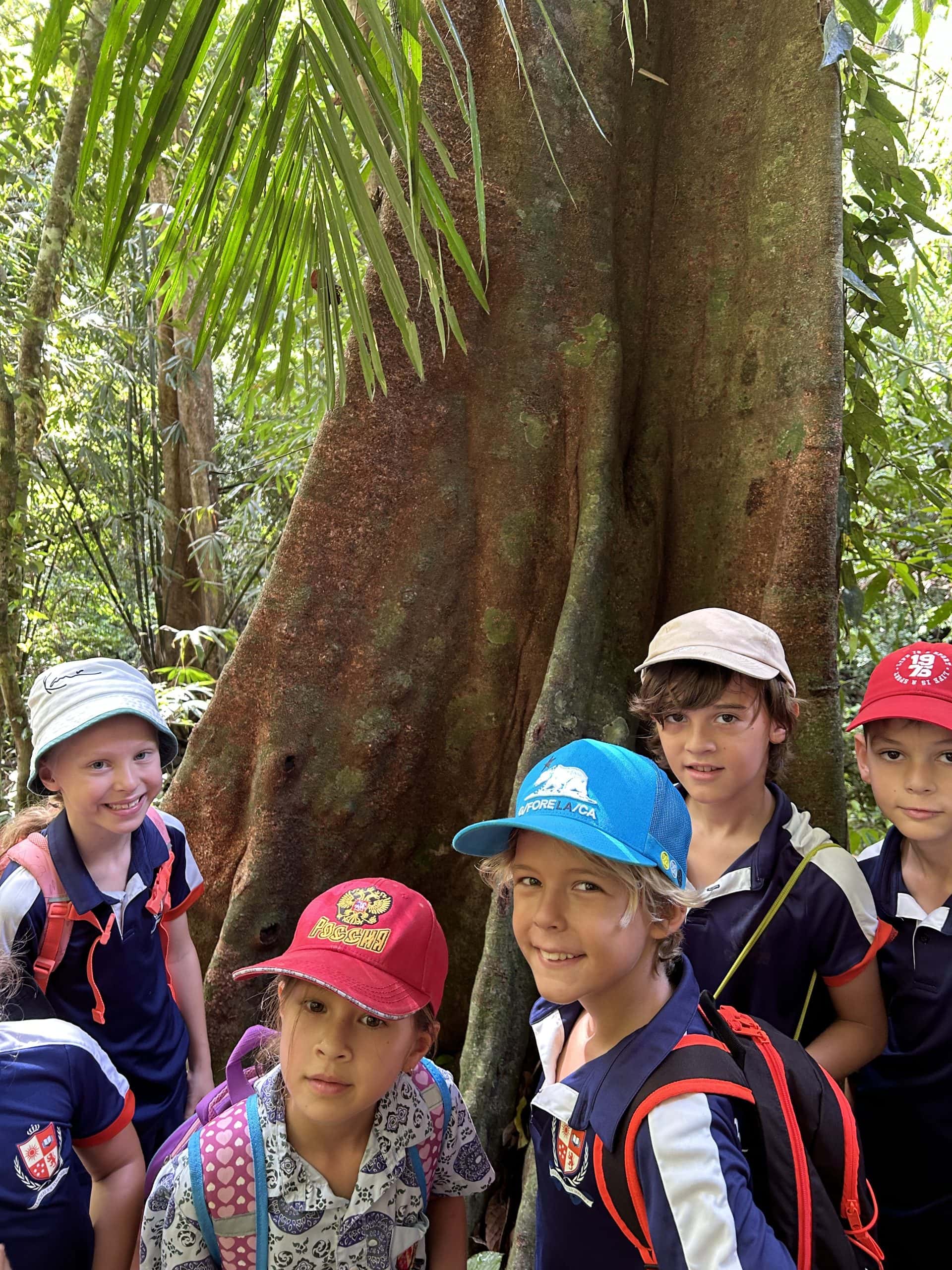 Year 4 Mangrove and Rainforest Field Trip | British International ...