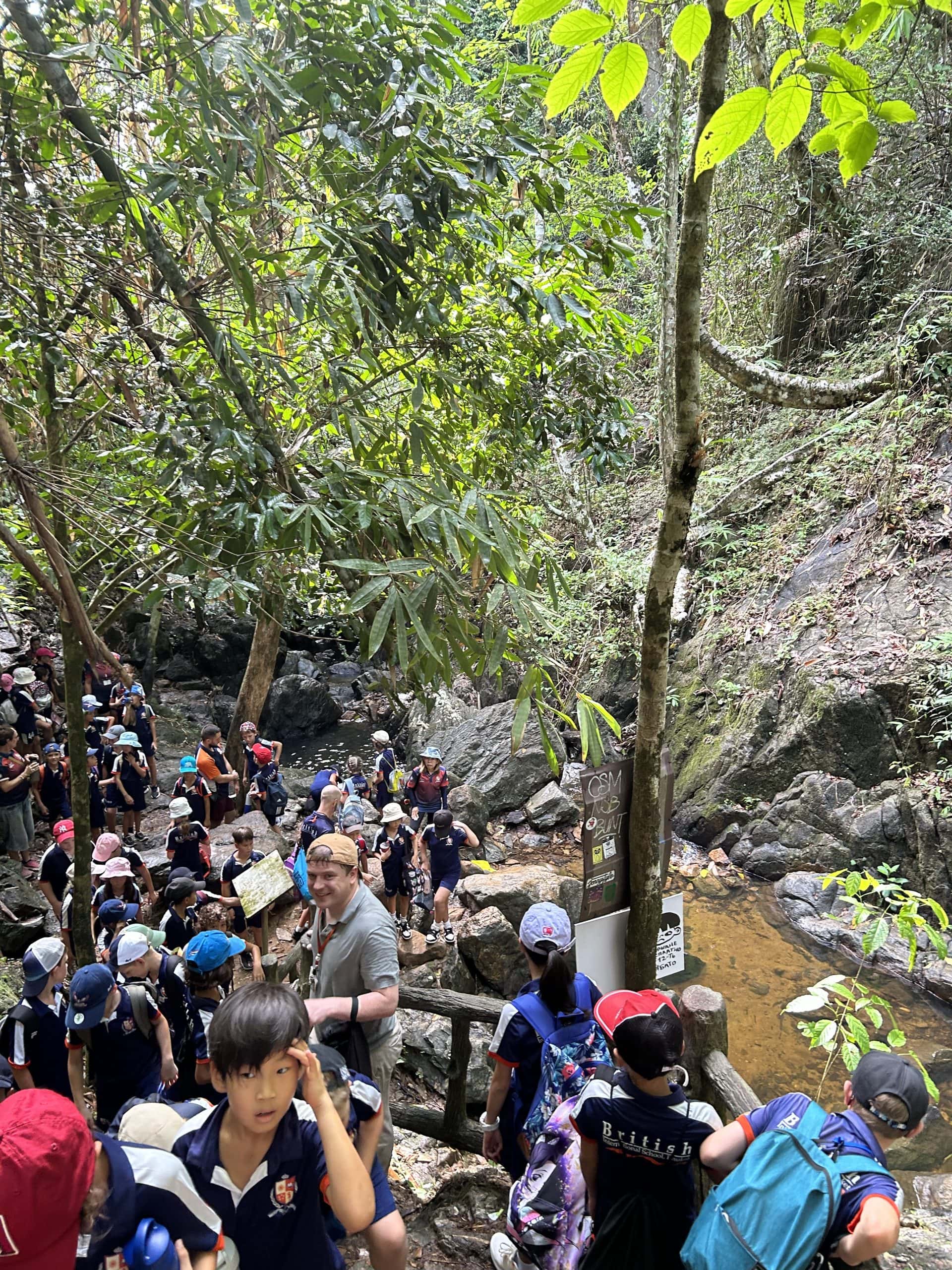 Year 4 Mangrove and Rainforest Field Trip | British International ...