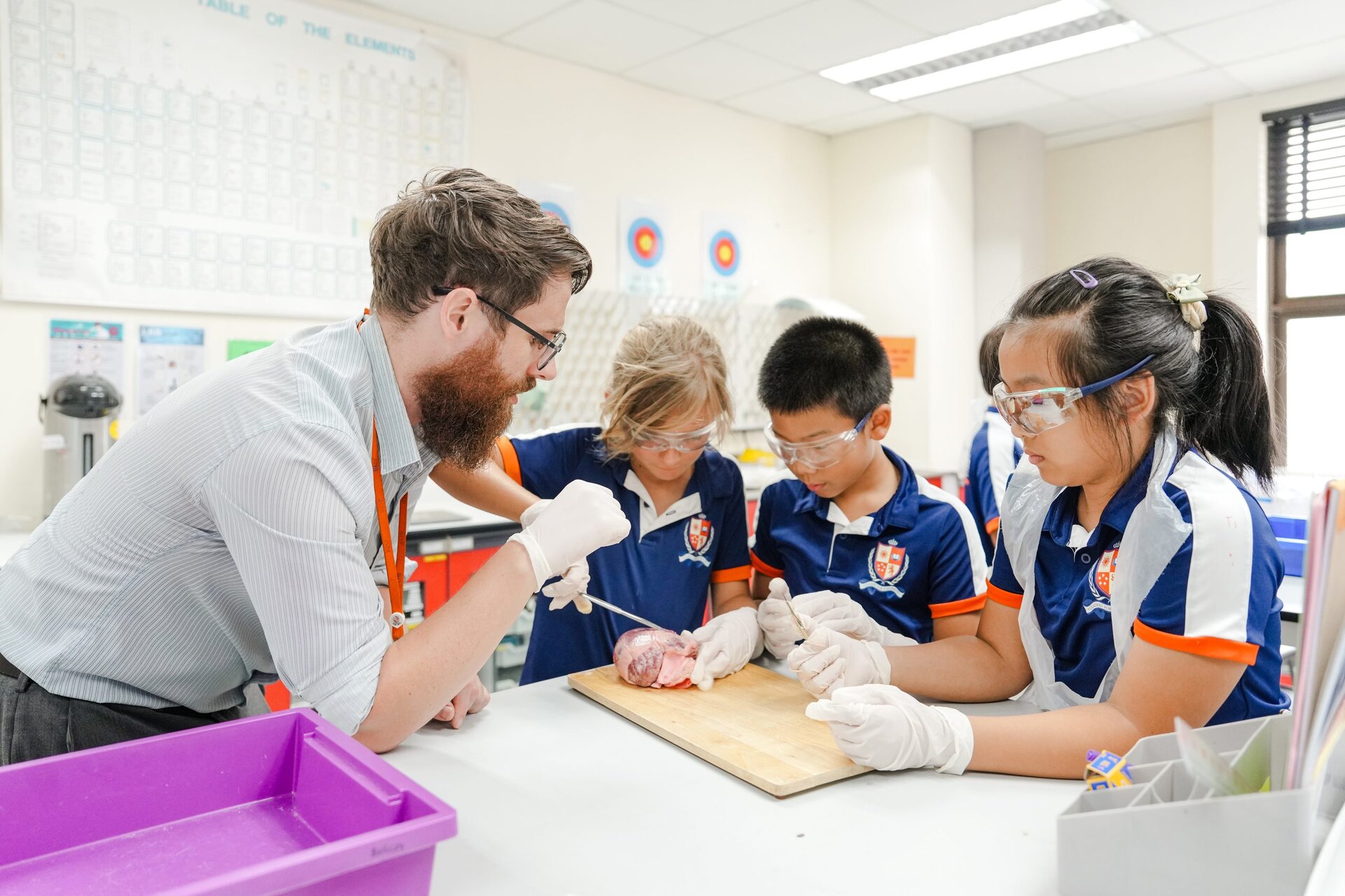 Year 6 Explore the Heart and Circulatory System | British International ...